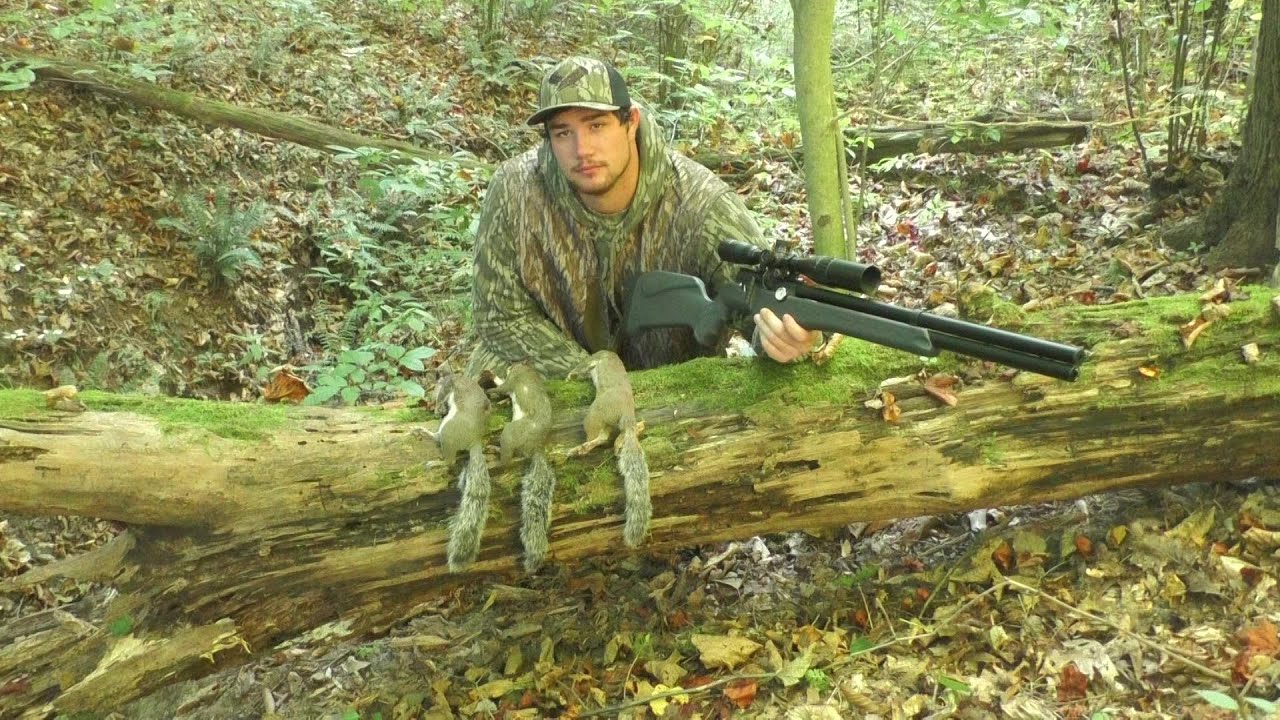 Squirrel Hunting With Pcp Air Rifle Long Range Style YouTube Squirrel Hunting With Pcp Air Rifle Long Range Style YouTube