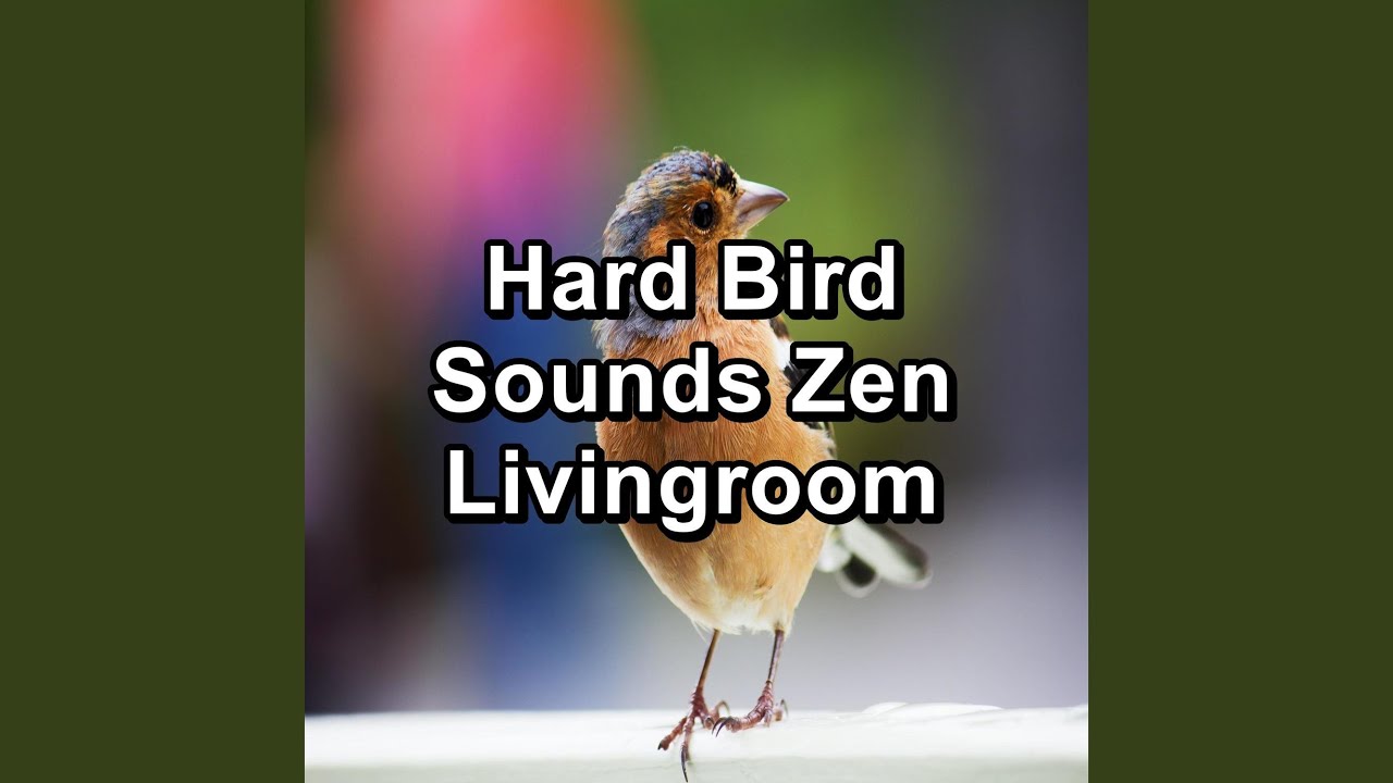 Cozy Bird Sounds Instant Deep Sleep Relaxing and Calming - YouTube