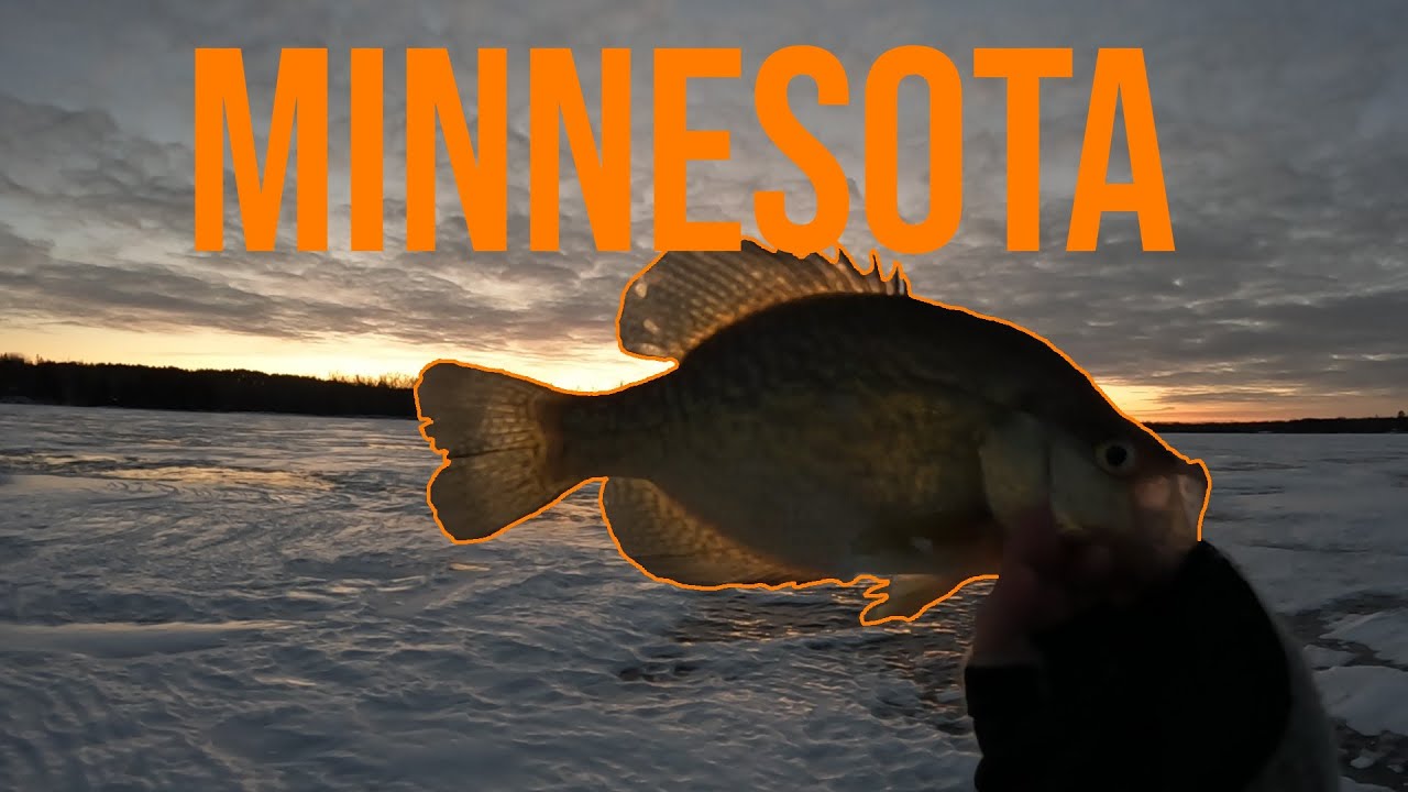 Fishing a NEW lake in Minnesota - YouTube
