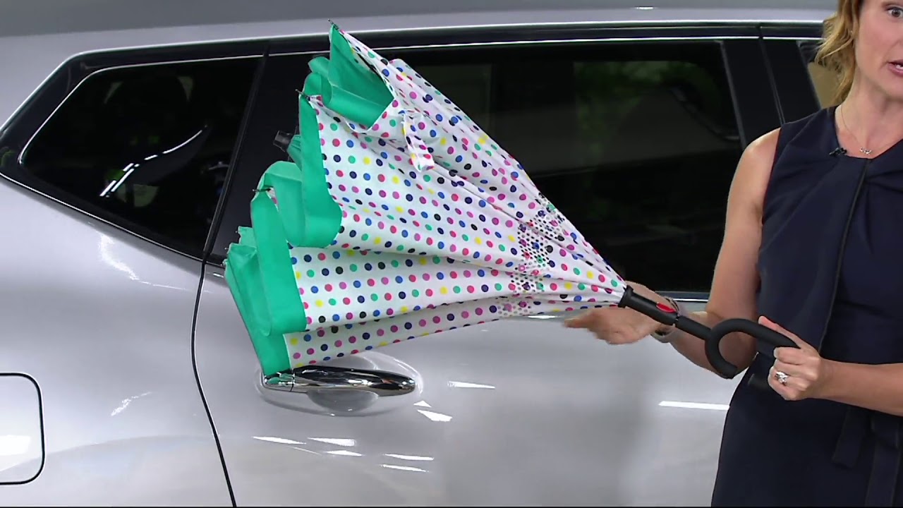 Revers-A-Brella Double Layer Inverted Automatic Open NoDrip Umbrella on ...