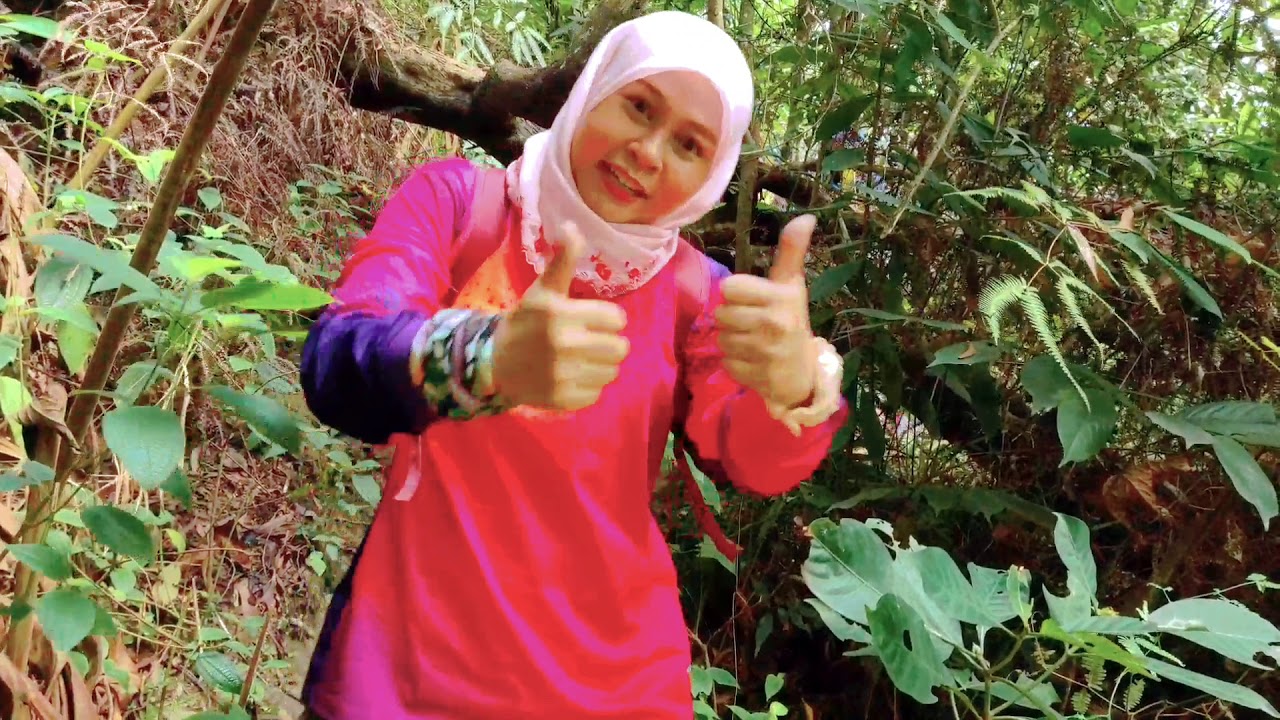 Bukit Besi Hidden Waterfall. Full trekking - YouTube