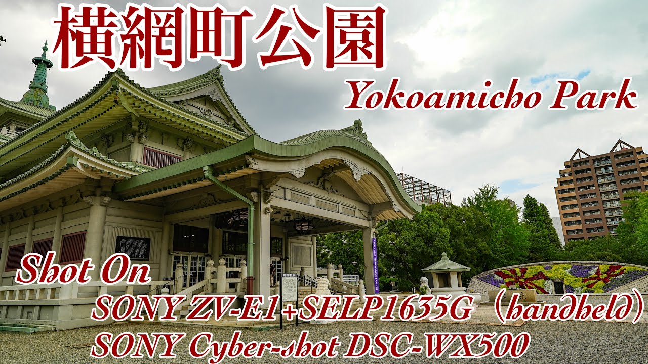 【横網町公園 #226】Yokoamicho Park【SONY ZV-E1+SELP1635G / SONY Cyber-shot DSC ...