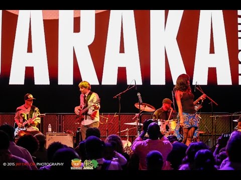 PROJECT LIONHEART - MADARAKA FESTIVAL 2015 (OFFICIAL) - YouTube