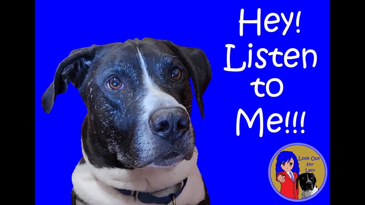 Hey Listen to Me! - YouTube