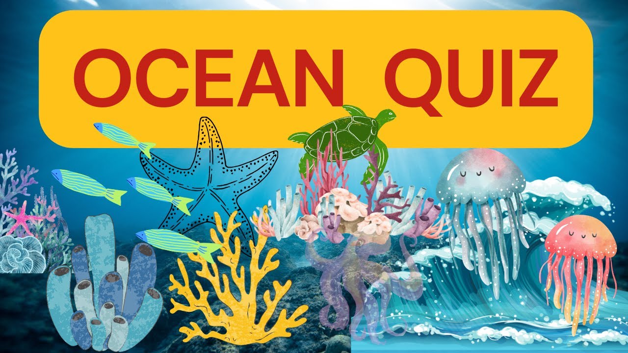 🌊🤽🏼‍♂️"Unleash Your Inner Oceanographer: Take the Ocean Quiz!"🏊🏼🌊 - YouTube