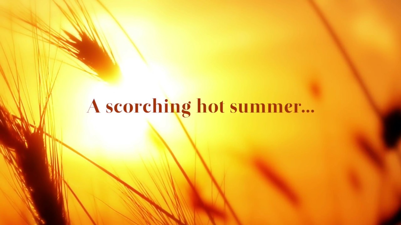 Suddenly One Summer - YouTube