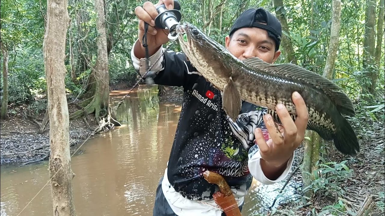 Mancing di spot bekas kena setrum, masih ada babonnya - YouTube