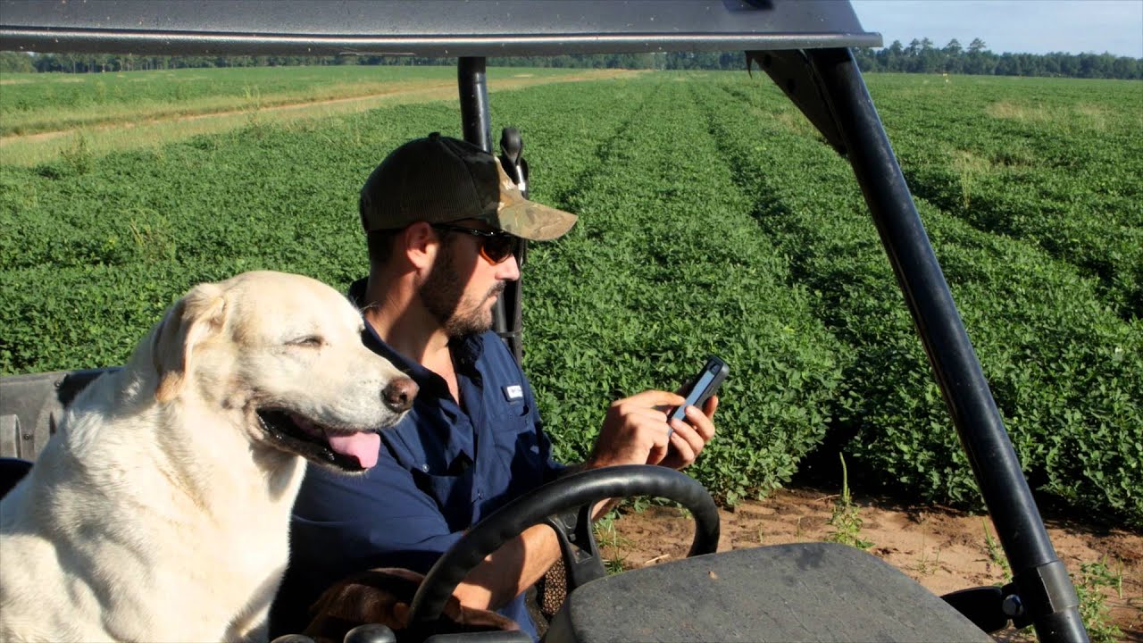 Variable Rate Irrigation (VRI) for Agriculture - YouTube