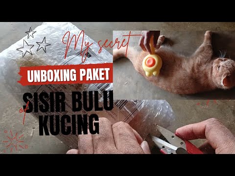Unboxing Paket Alat Penyisir Bulu Kucing anggora - YouTube