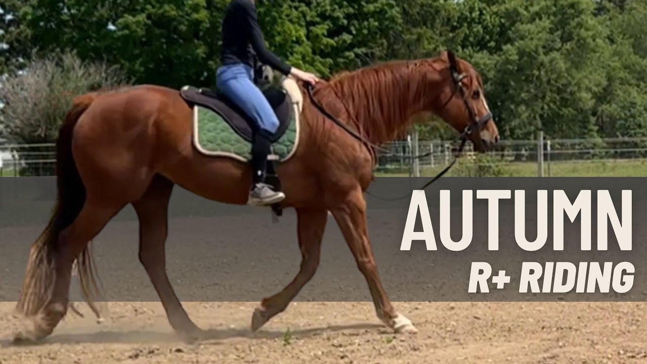 R+ Riding with Rescue OTTB Autumn - YouTube