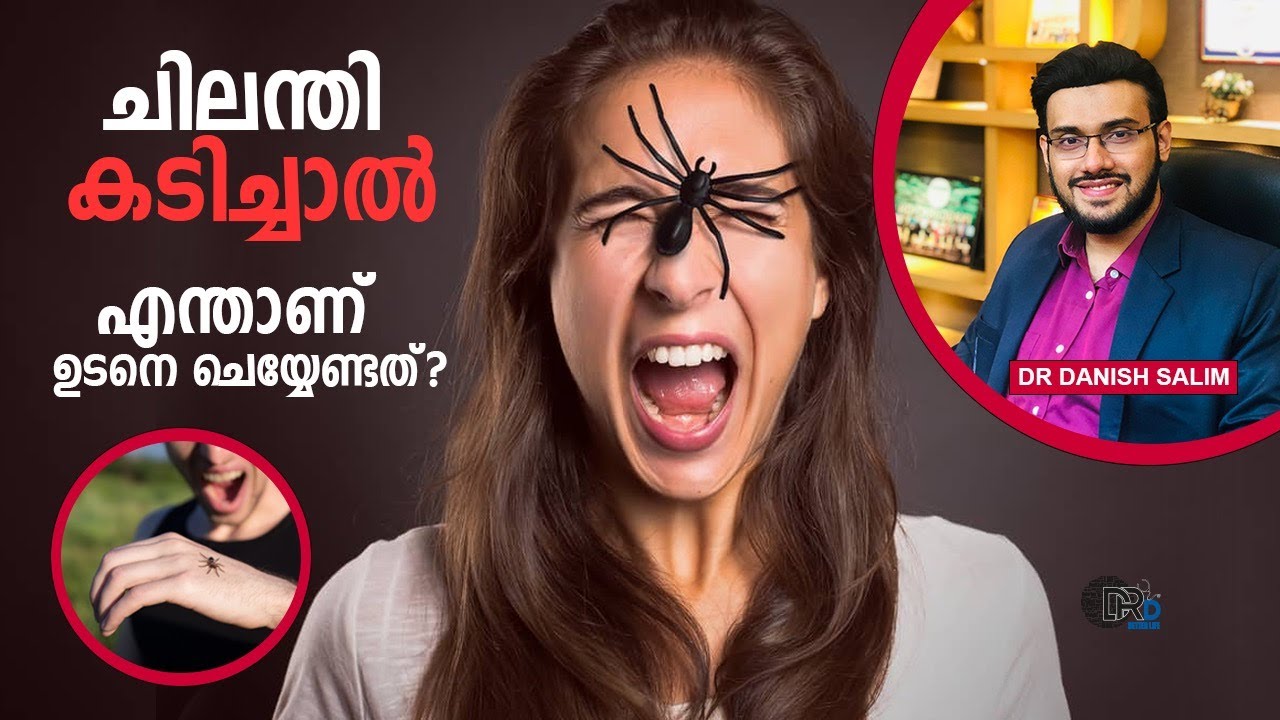 1246:🕷️ചിലന്തി കടിച്ചാൽ എന്തൊക്കെ ലക്ഷണങ്ങൾ ആണ്? എന്താണ് ഉടനെ ...