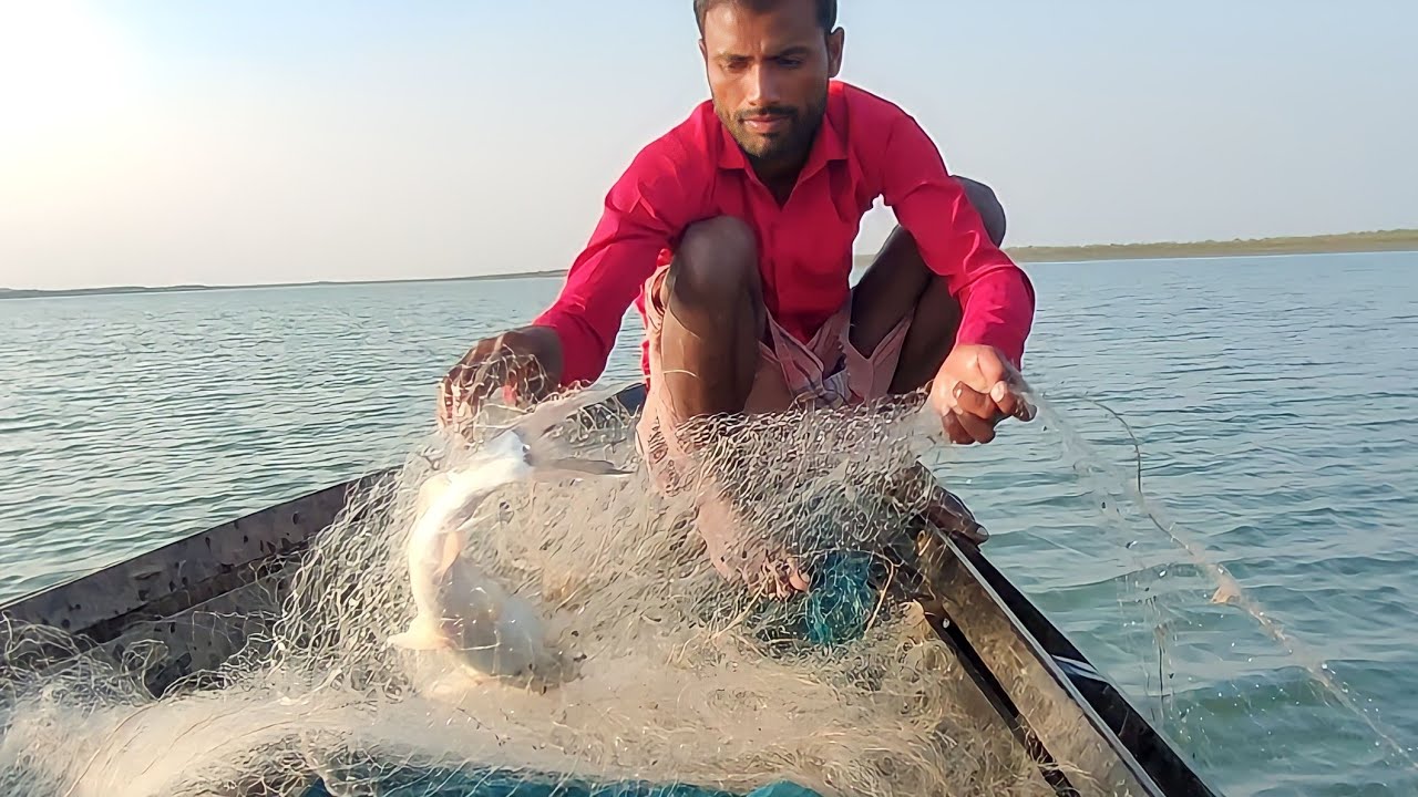 Fishing Excitng use catch fish big net catch many fish in the river ...