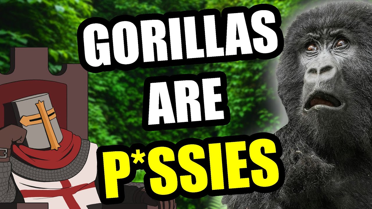 Delusional MORON Thinks He Could Beat Up A Gorilla (Hans Wormhat) - YouTube