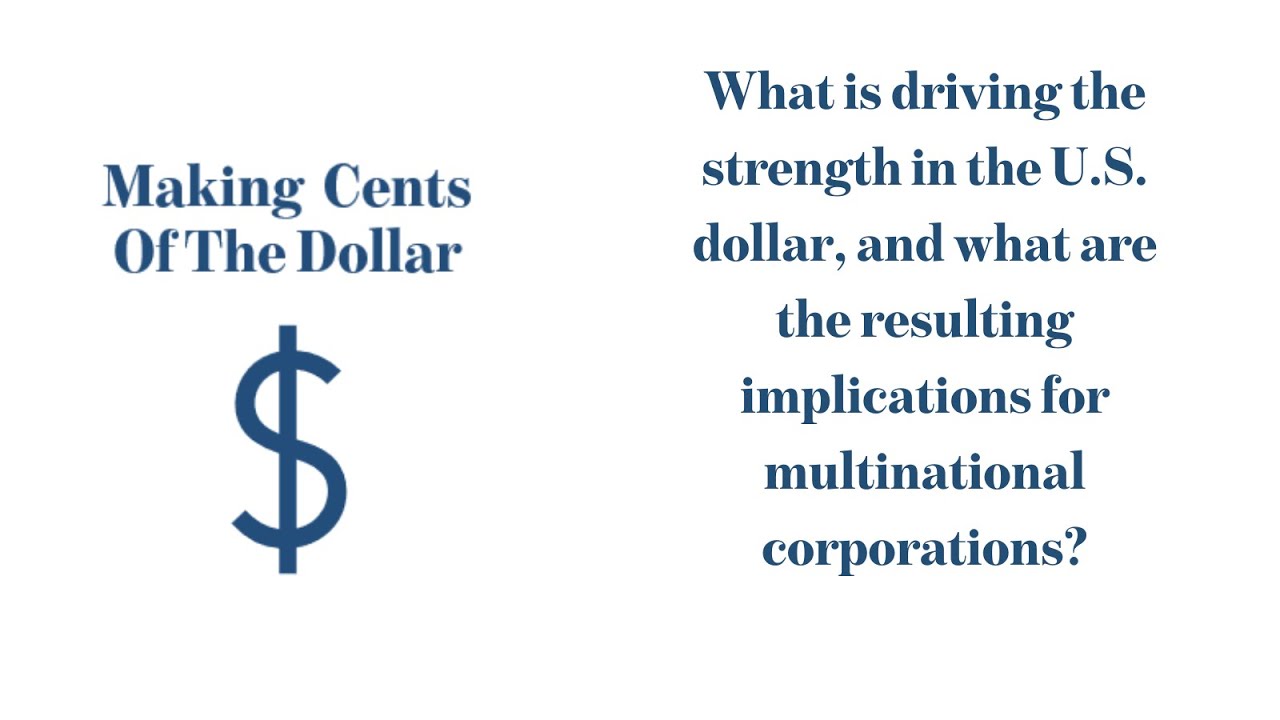 Making Cents Of The U.S. Dollar - Blue Chip Partners’ Daniel Dusina ...