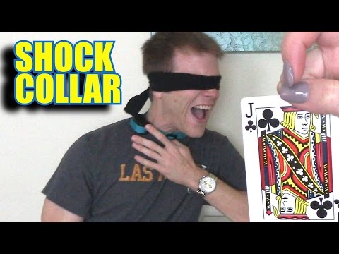 Shock Collar Psychic Training - 300 Sparta Kick Wave Machine - Airsoft To The Face | TC #126