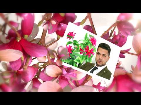 s.Buinovo / Ismail Shoni  - 1