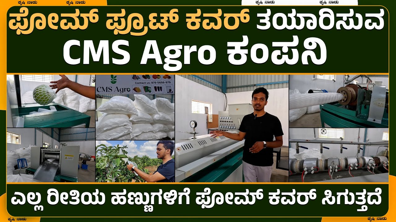 ಫೋಮ್ ಫ್ರೂಟ್ ಕವರ್ ತಯಾರಿಸುವ CMS Agro ಕಂಪನಿ | EPE Foam Fruit Net Machine | 9795656979 - YouTube