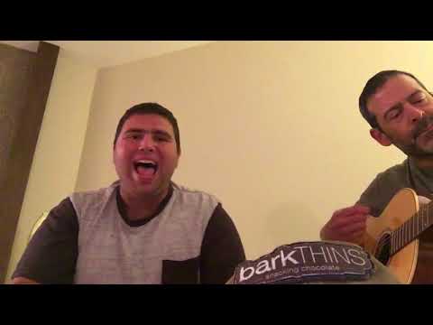 BarkThins Song