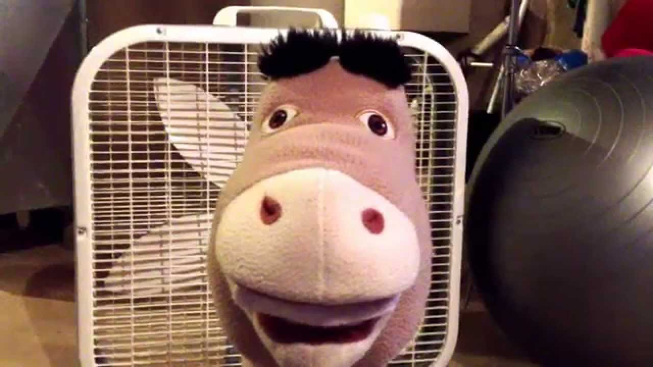 The first DERPY DONKEY!! - YouTube