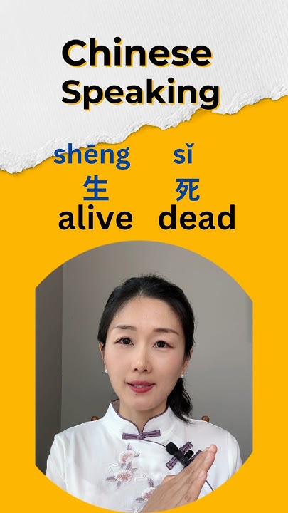 Learn Chinese|Basic Chinese HSK Speaking for Beginners#learnchinese# ...