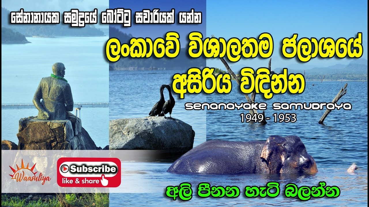 සේනානායක සමුද්‍රය - Senanayake Samudraya - YouTube