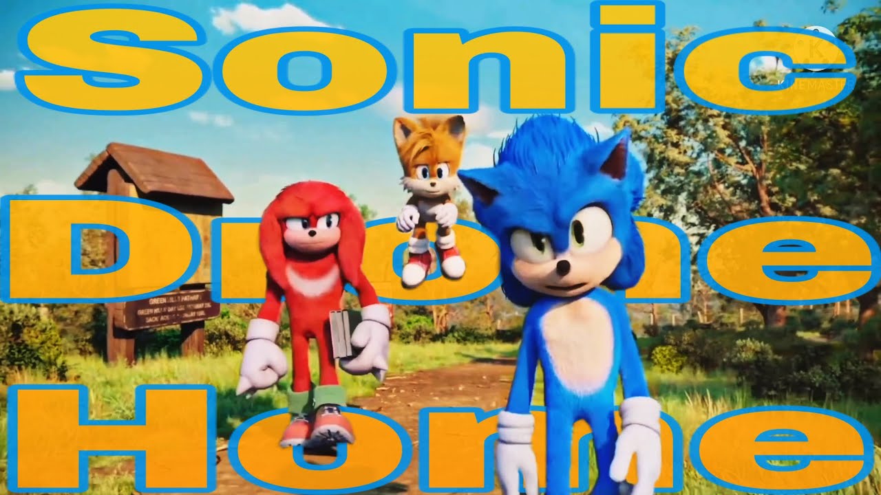 SONIC Drone Home | “Full” Video | Midnight the Hedgehog - YouTube