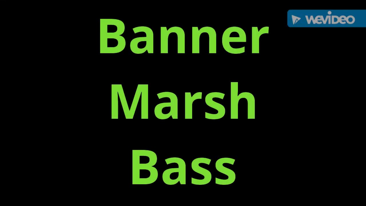 First Frog Fish at Banner Marsh - YouTube
