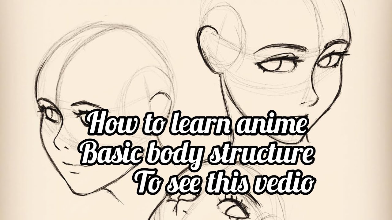 Anime Body Structure