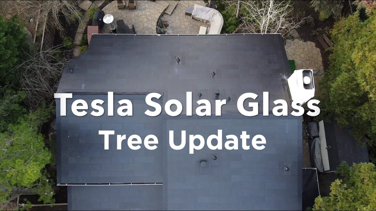 Tesla Solar Roof - Tree Update - YouTube