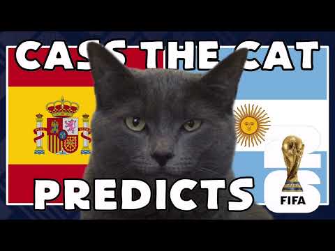 Spain vs Argentina | 2026 FIFA World Cup Final | Cass the Cat 🐾 Prediction