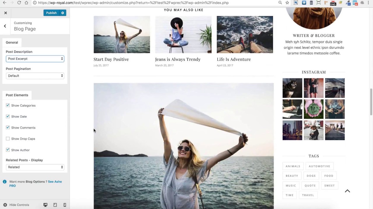 (Old) Customize Blog Page in the Ashe Free Wordpress Theme - YouTube