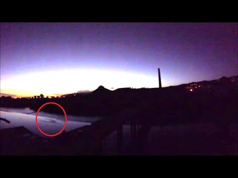 strange creature caught on camera - YouTube
