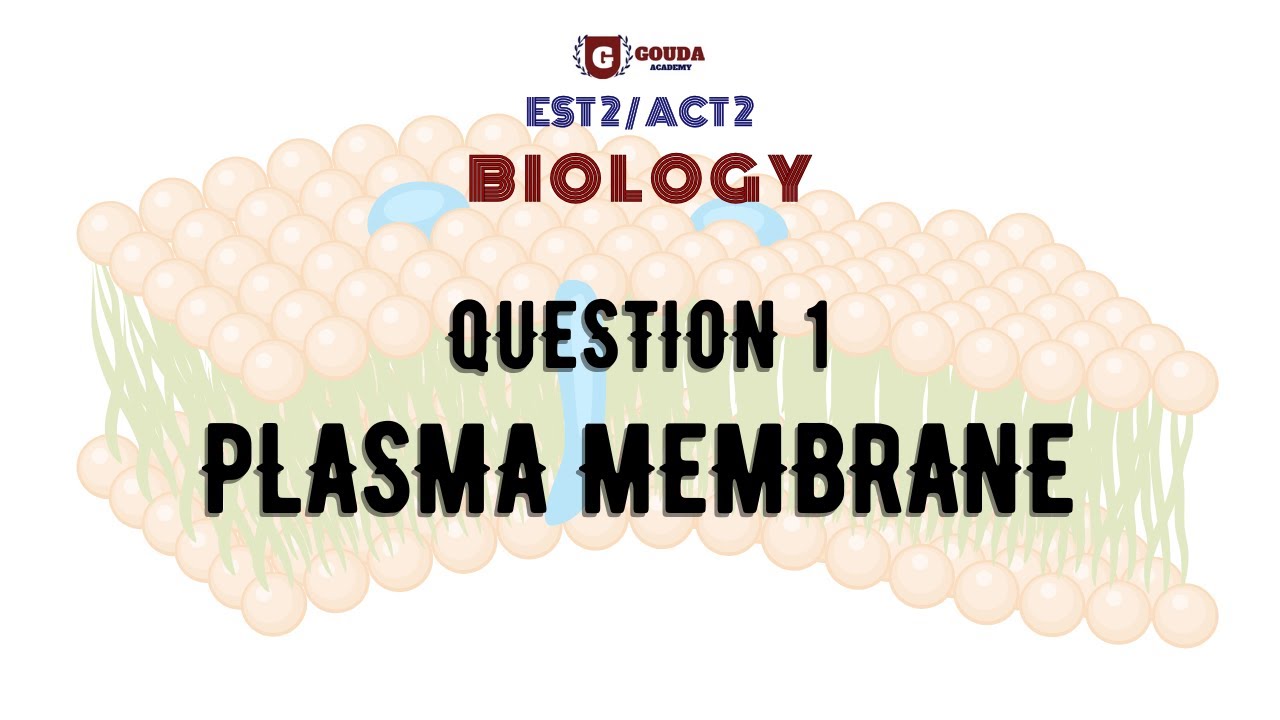 EST 2 Biology Super Revision Question 1: Plasma Membrane - YouTube