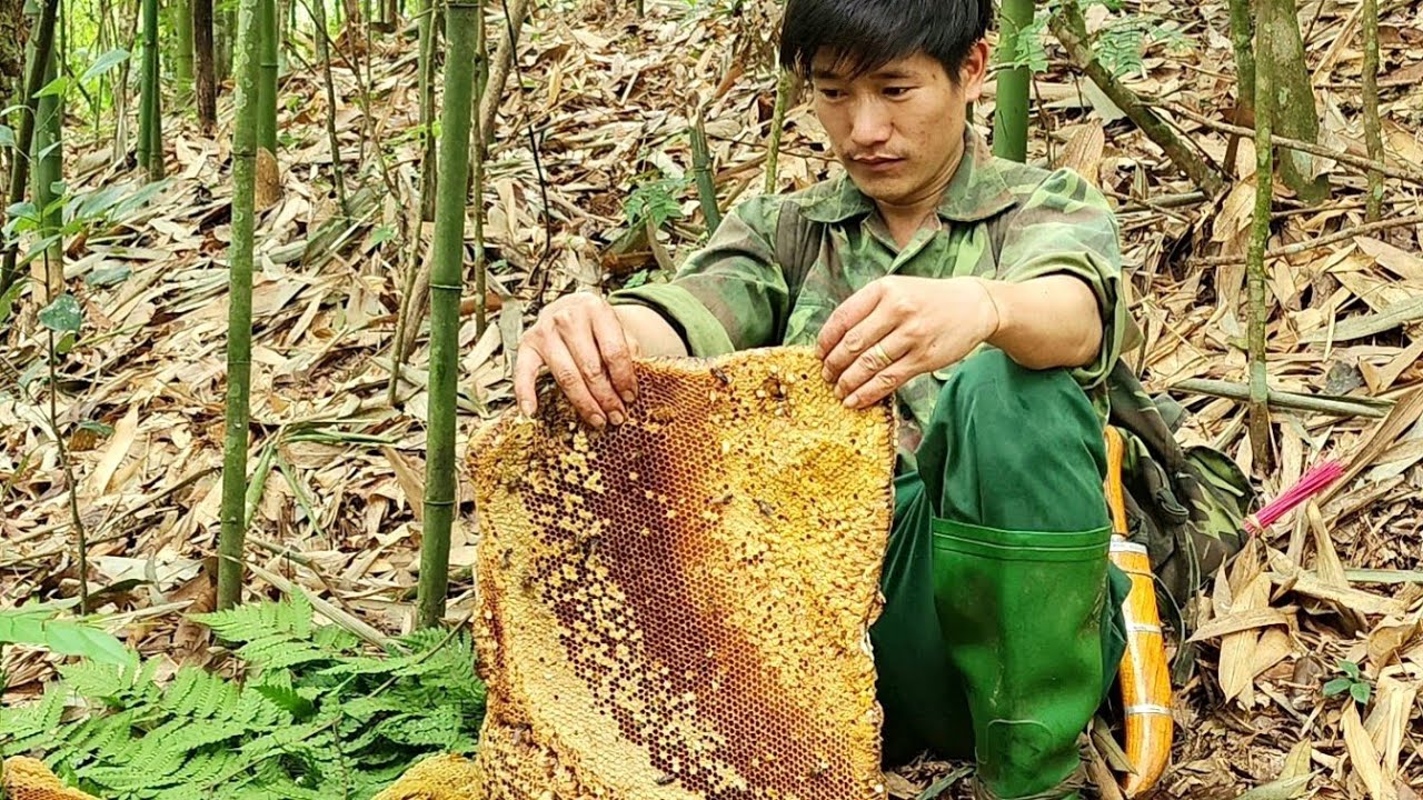 The Challenge of Catching a Giant Beehive and an ending - survival ...