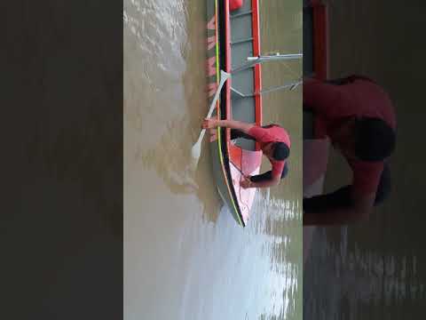 Mantap pari sungai segama