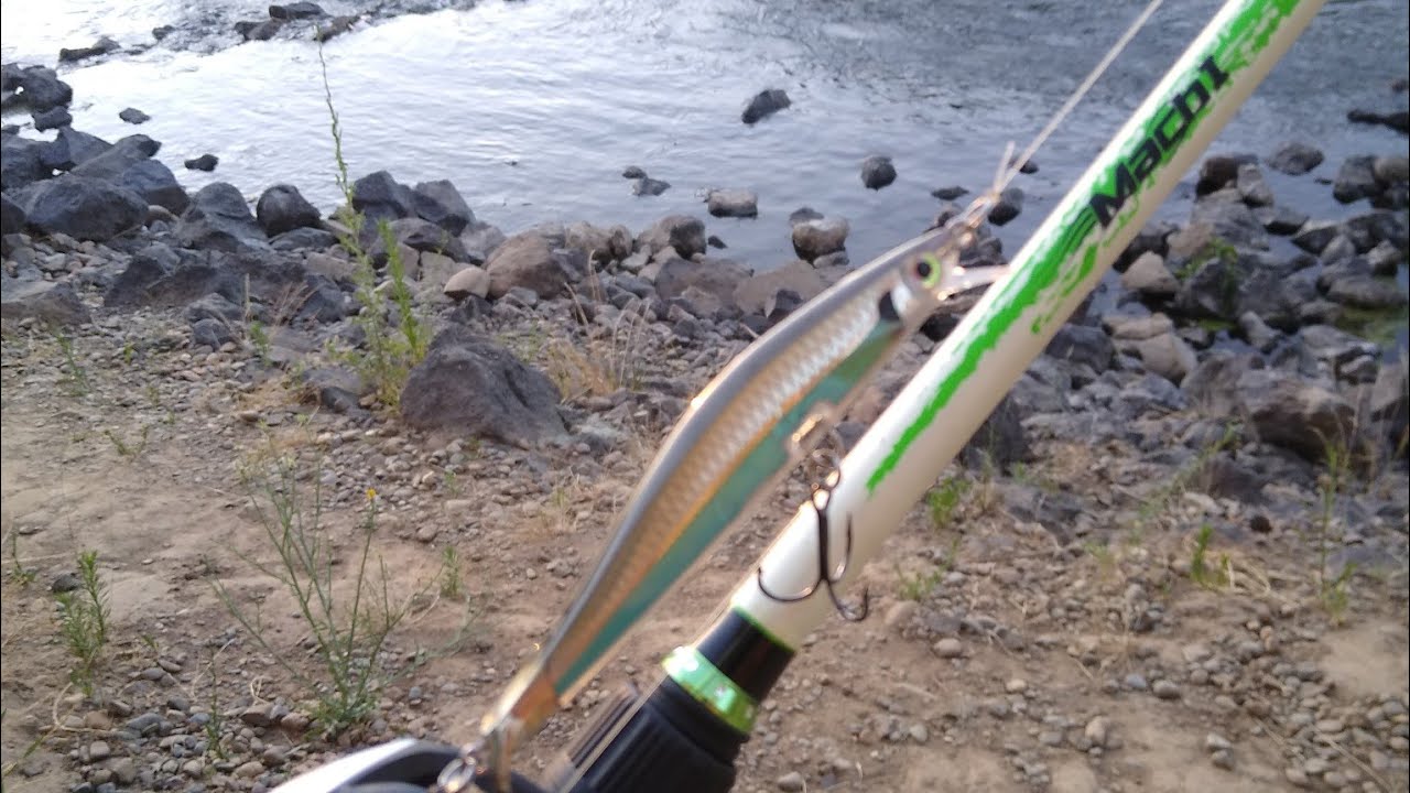 El MEJOR SENUELO para pescar en RIOS/ BEST lure to fish in a RIVER ...