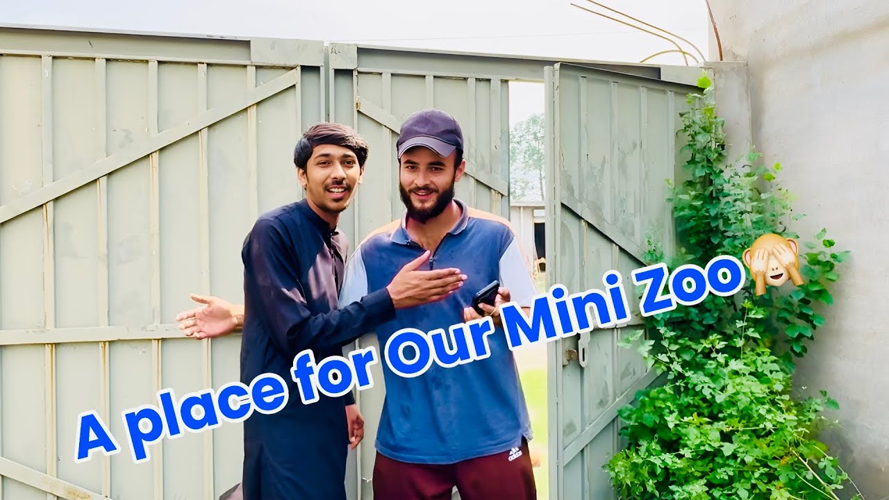 village Vlog | visite New Mini Zoo |Dost ne dia gift mein zoo - YouTube