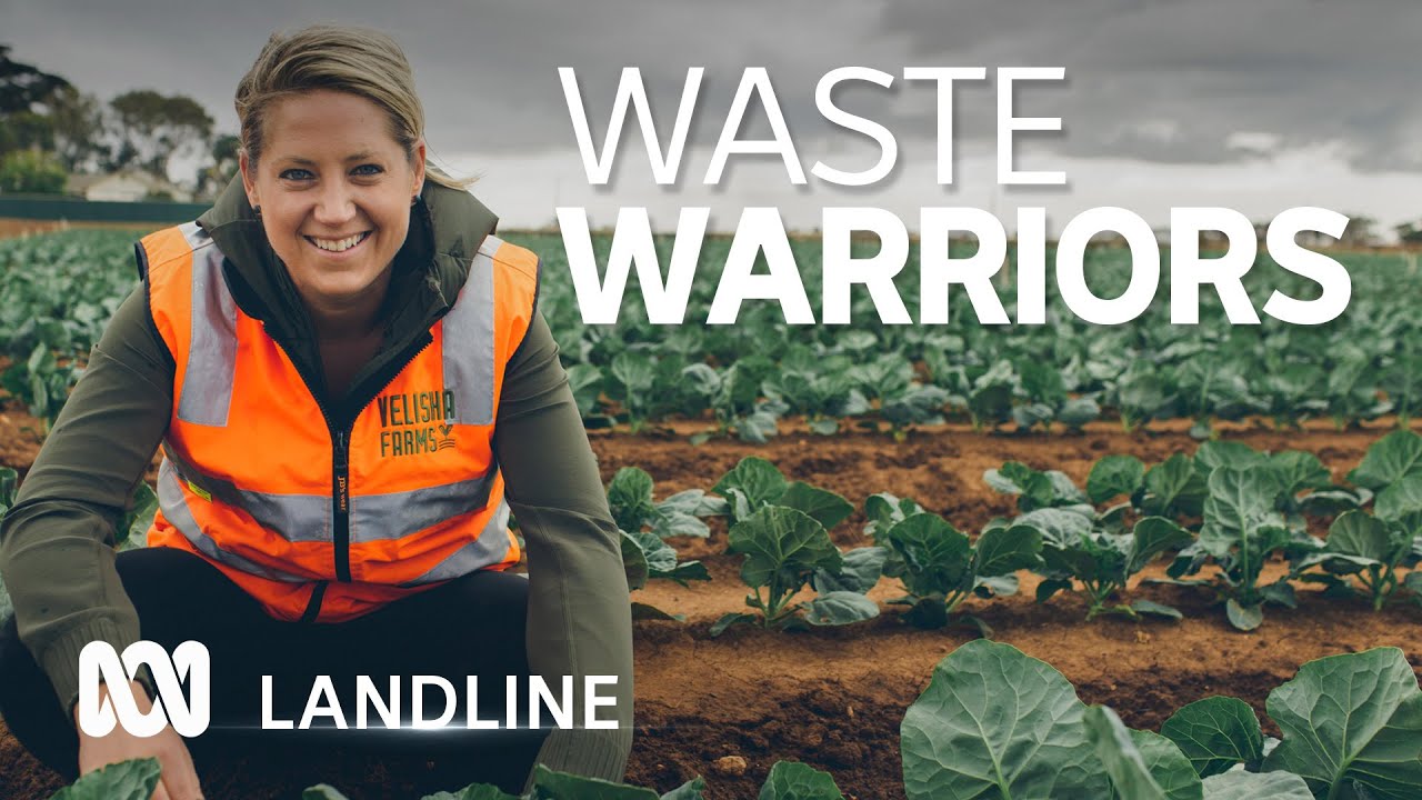 Food waste warriors redirect unwanted produce to homes, charities 🥦 🍞 👷 ...