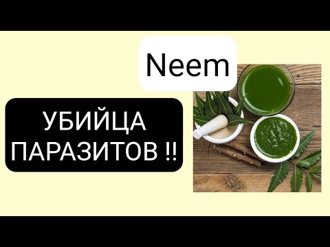 Ним | ним порошок | масло нима - YouTube