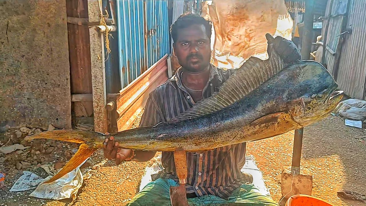 KASIMEDU 🔥 BIG MAHI MAHI FISH CUTTING | IN KASIMEDU | HD VIDEO | DD ...