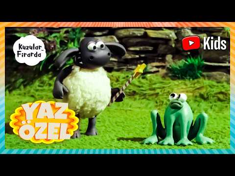 TİMMY SİHİRLİ DEĞNEĞİYLE KURBAĞAYI PRENSE DÖNÜŞTÜRDÜ 🐑🪄 | Shaun the Sheep | Çocuklar İçin Çizgi Film