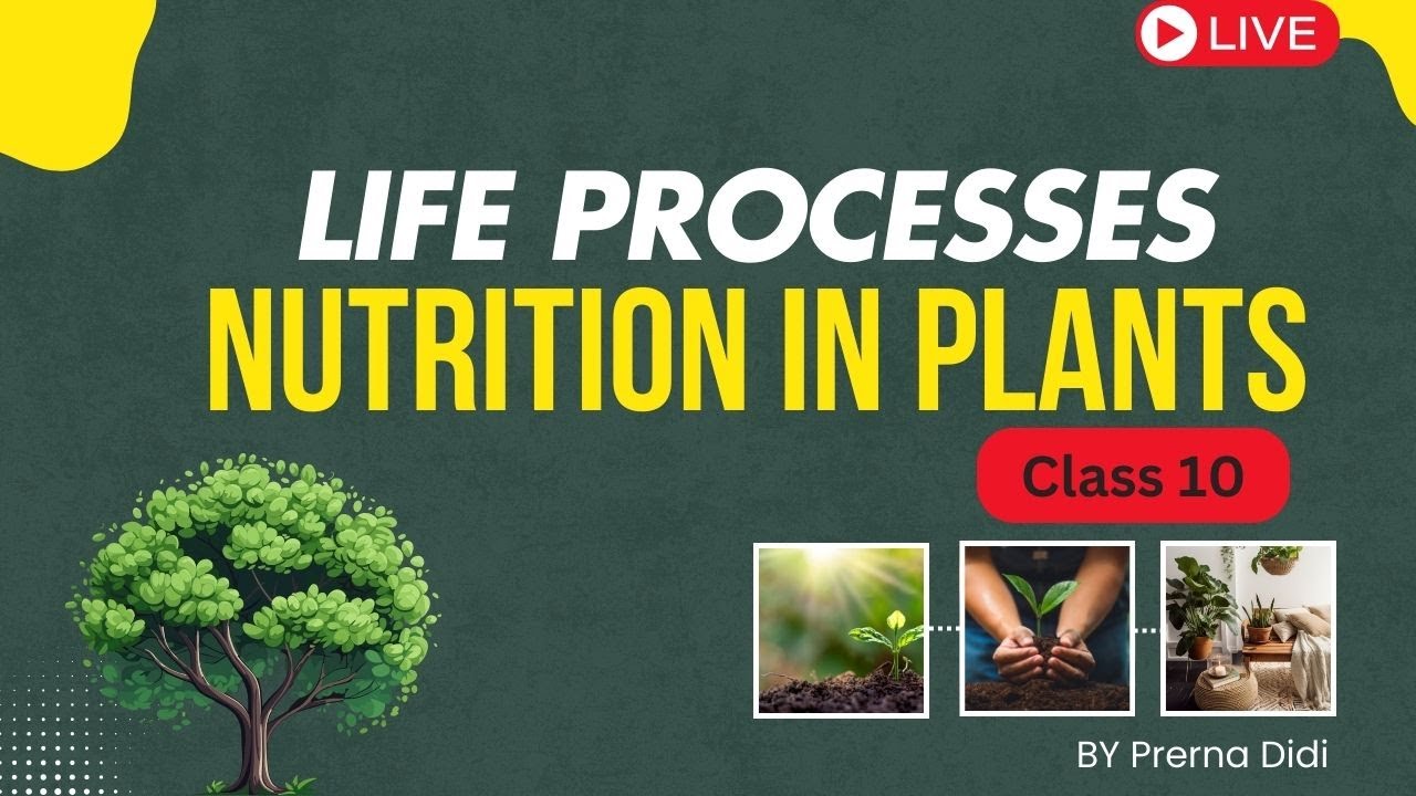 Life Processes🔥| Nutrition in Plants | Class 10 Science | NCERT line by ...