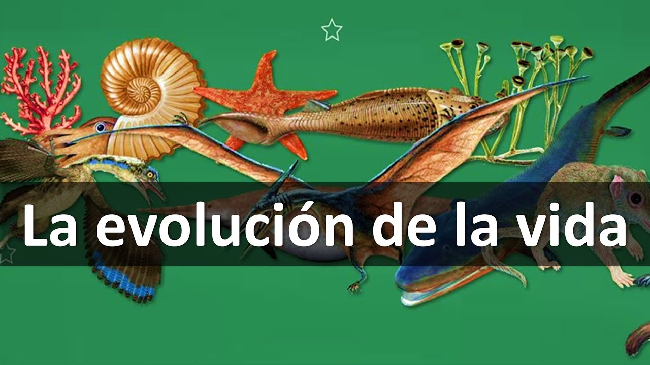 ⭐¿Cómo se produjo la evolución de la vida? 📘 aulamedia - YouTube