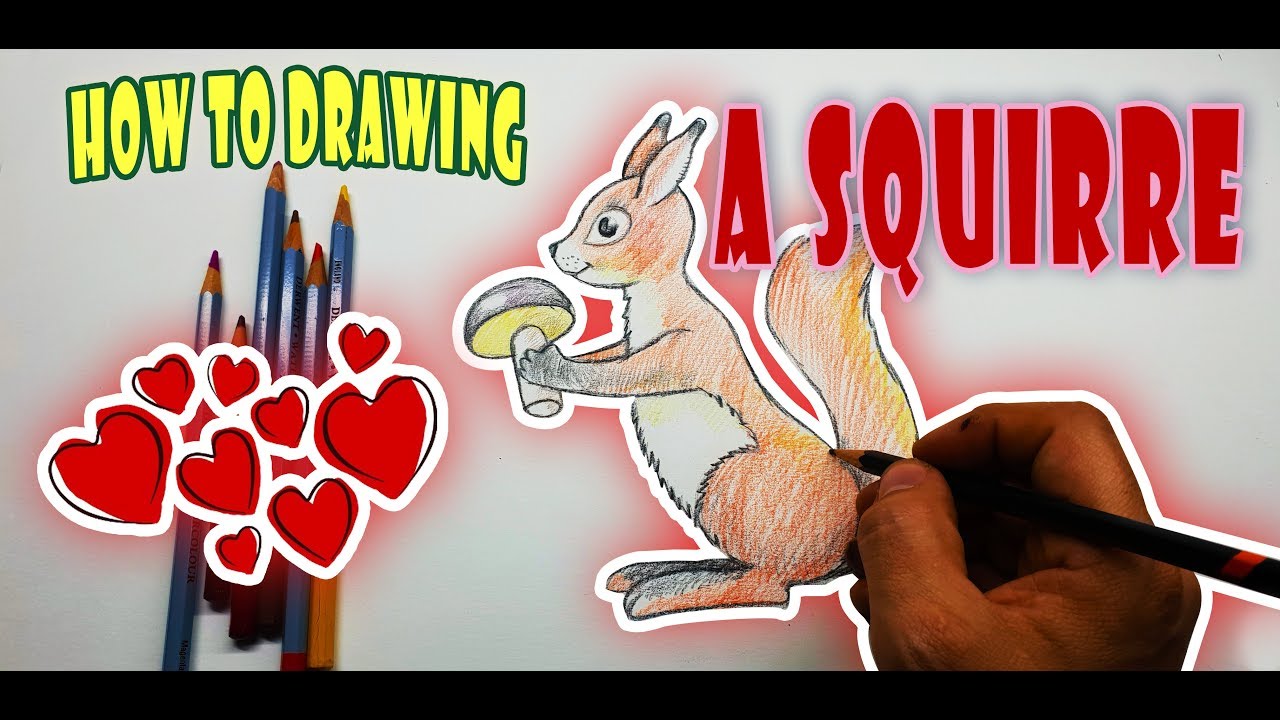 HOW TO DRAWING A #SQUIRREL (Drawing for kid) (Sincap nasıl Çizilir ...