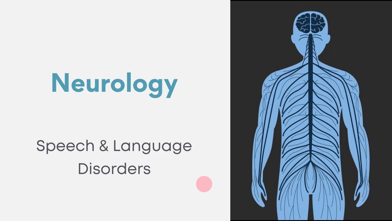 Neurology | Speech & Language Disorders - YouTube