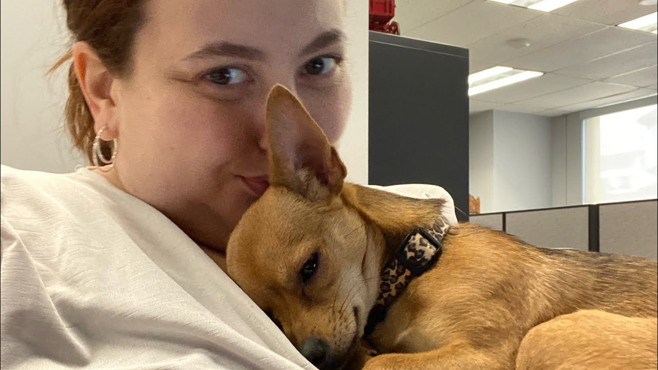 Weekly Vlog: Plus-Size Winter Jacket Try-On & Puppy Toy Destroyer - YouTube