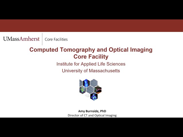 Animal Imaging | Institute for Applied Life Sciences