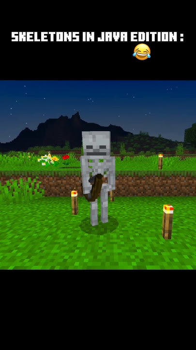 Java Skeletons VS Bedrock Skeletons 💀 || #shorts #javavsbedrock - YouTube
