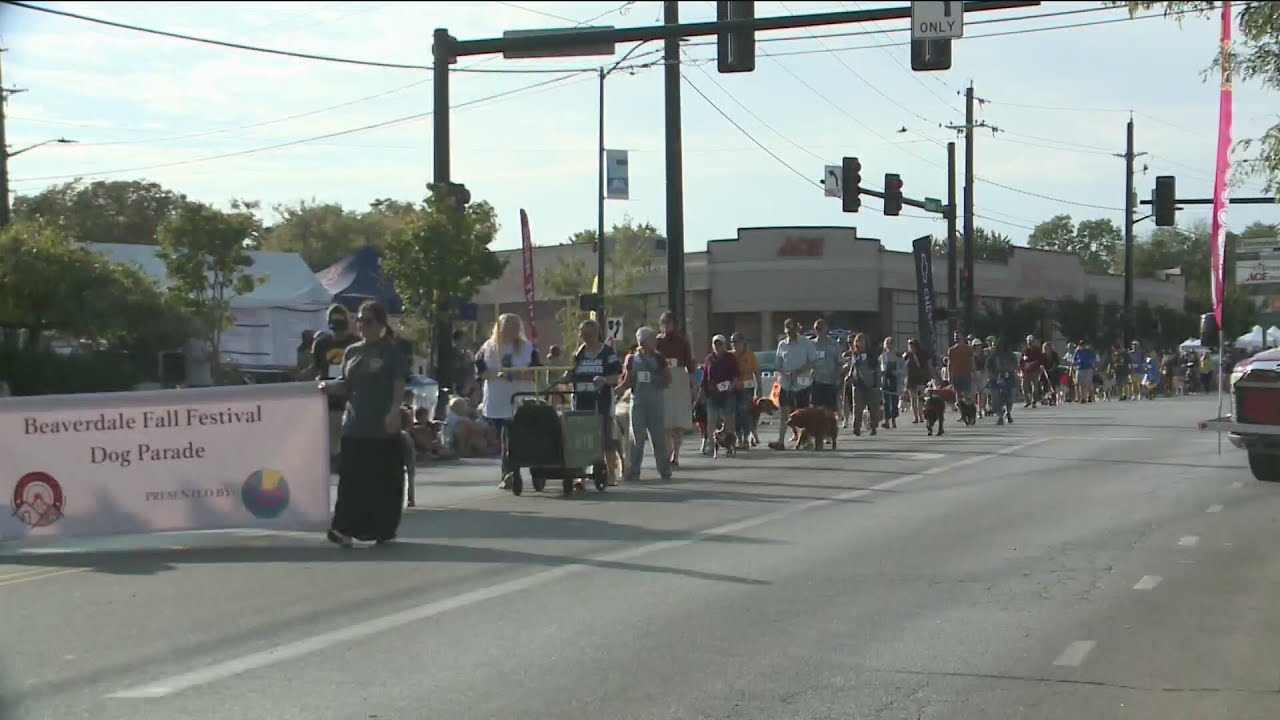 Beaverdale Fall Festival coming soon - YouTube