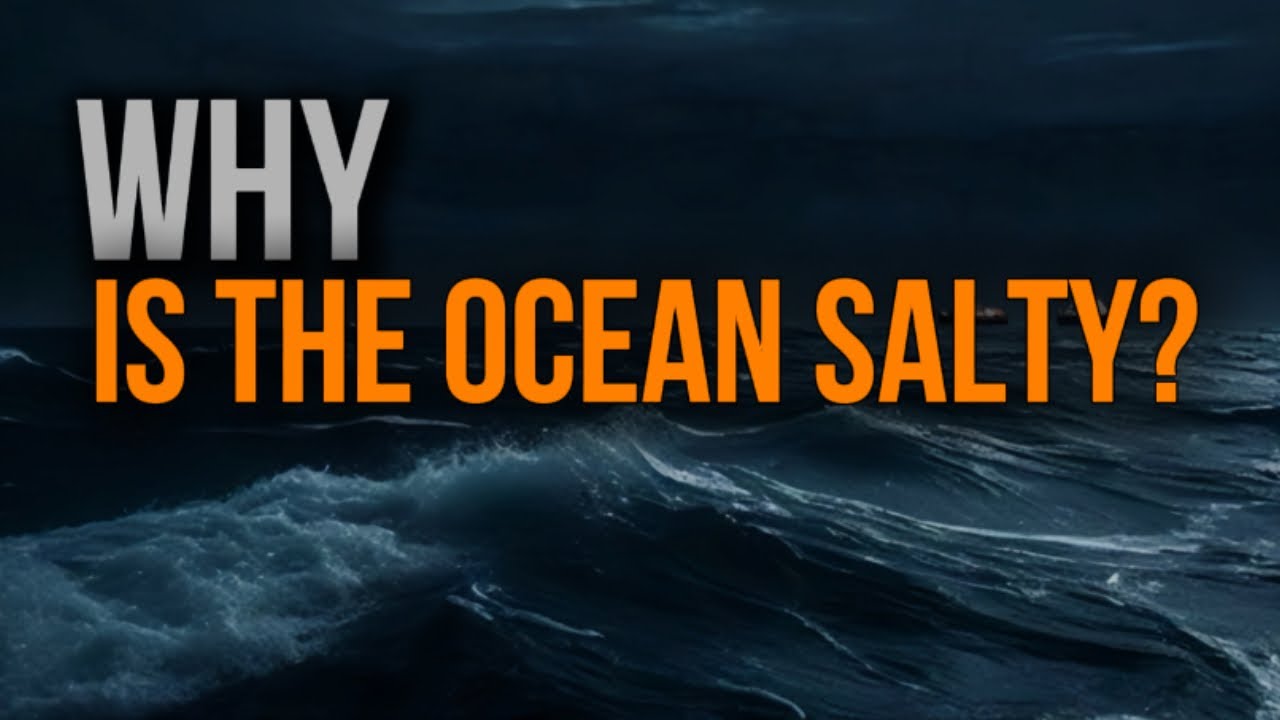 Why Is the Ocean Salty ? | Mystery | Era Echoes - YouTube